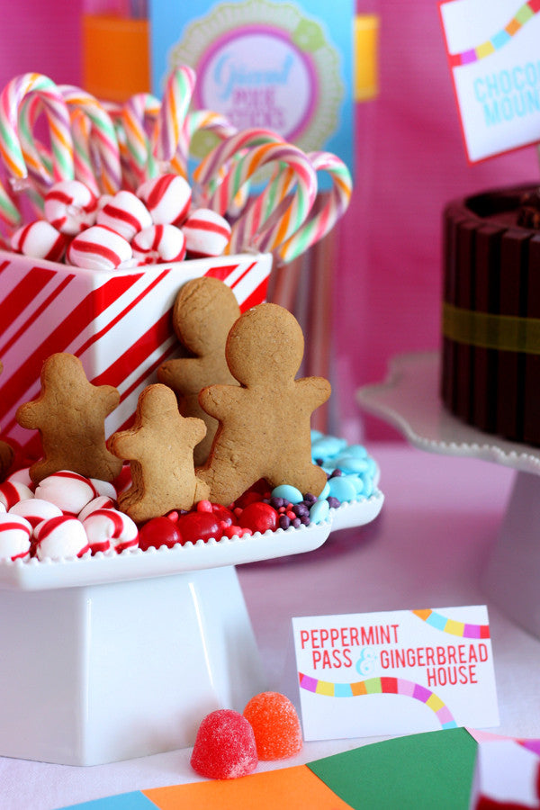 Candy Land printable Birthday Party Collection – Wants and Wishes